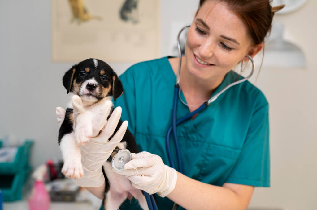Vet Clinic Waste Hazards & Correct Disposals